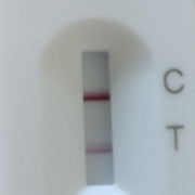 Weeknote 5 - Calum Ryan